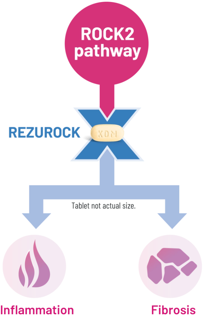 REZUROCK® (belumosudil) website for patients - What is REZUROCK?